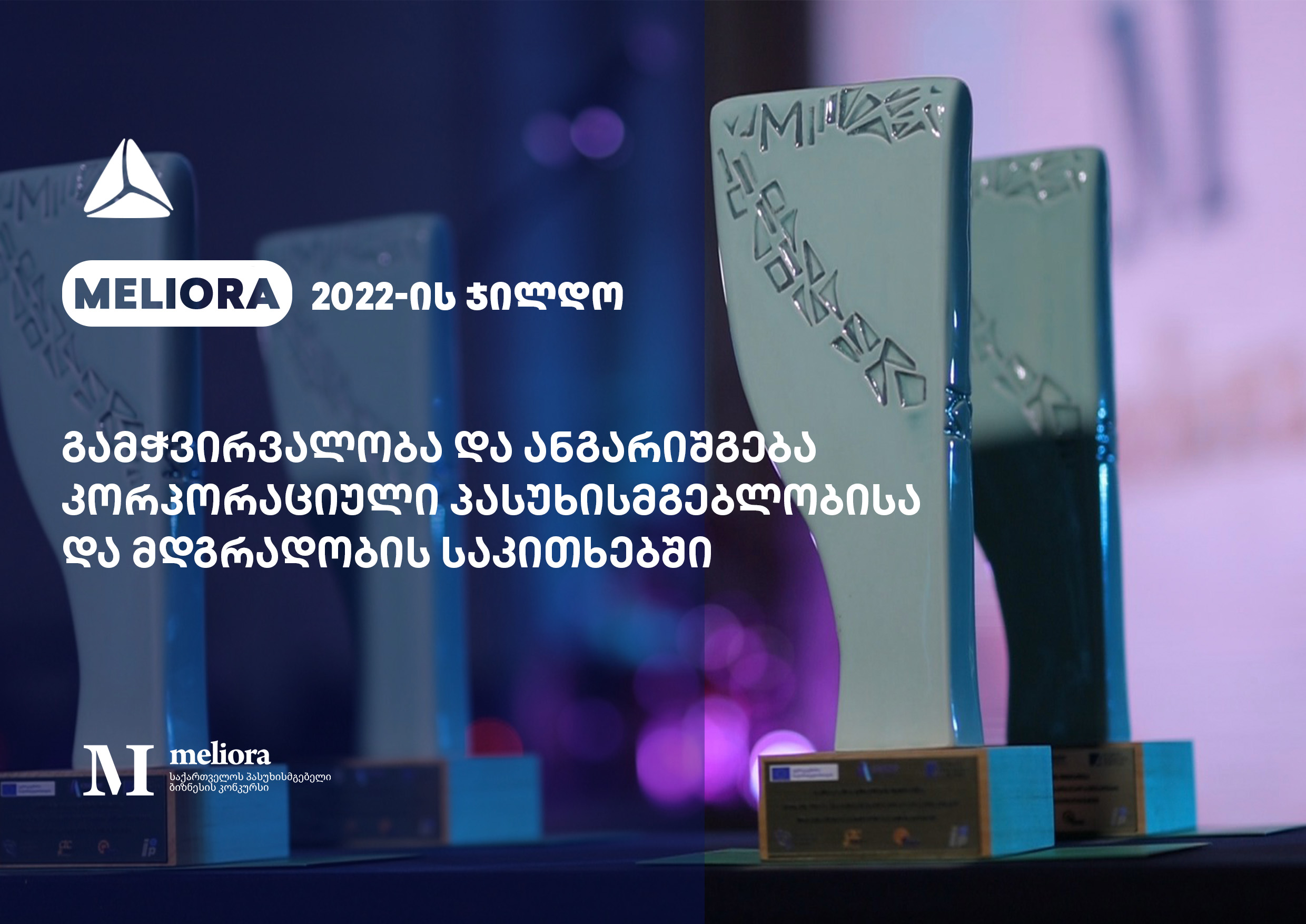 თიბისის Meliora 2022-ის ჯილდო გამჭვირვალობა და ანგარიშგება კორპორაციული ...